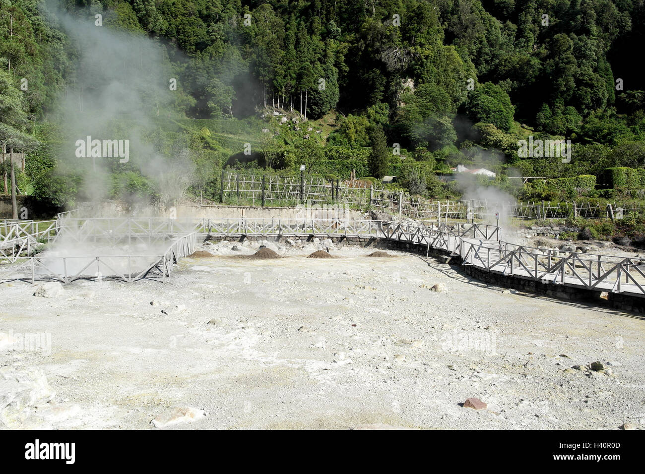 Furnas, Sao Miguel island, Portugal Stock Photo - Alamy