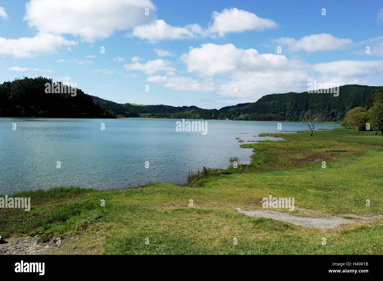 Furnas Lake, Sao Miguel island, Portugal Stock Photo - Alamy