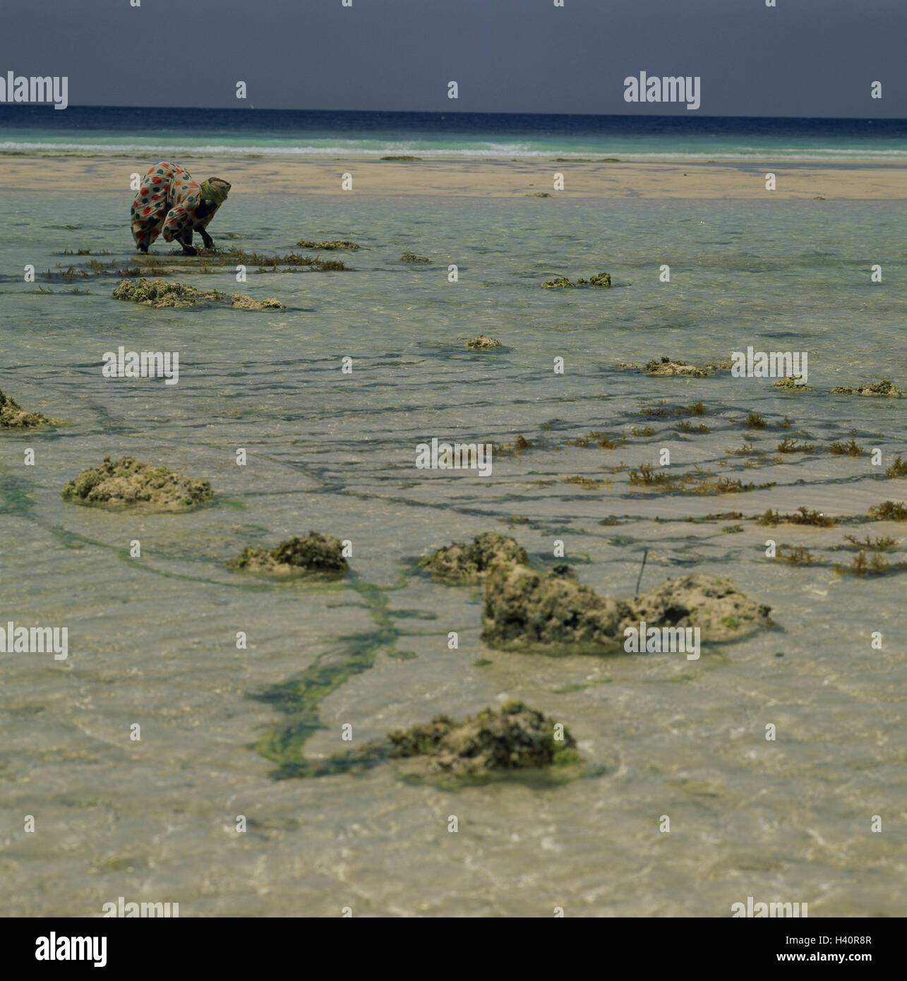 Jambiani beach zanzibar island tanzania hi-res stock photography and ...