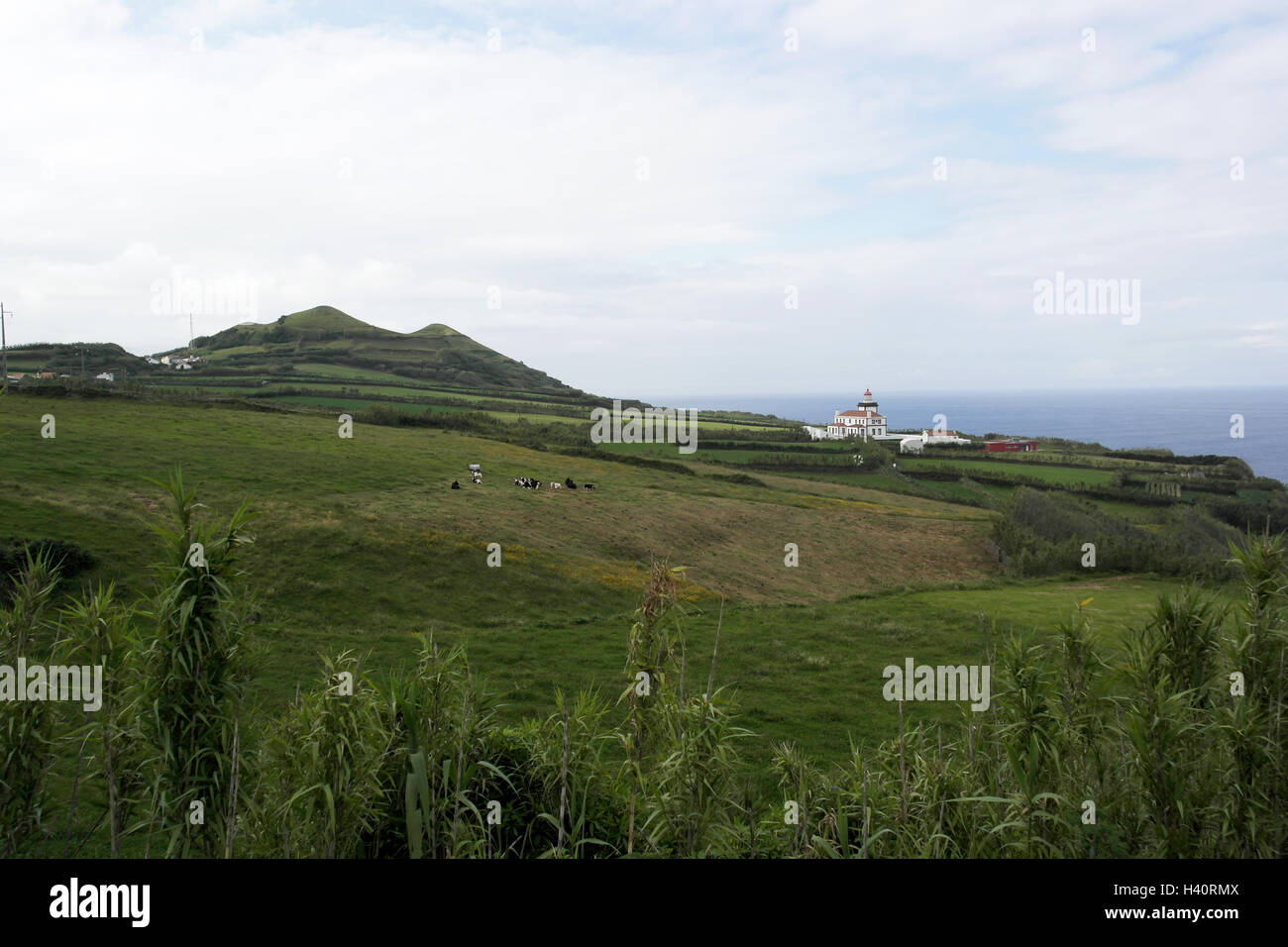 Ponta da Ferraria, Sao Miguel island, Azores Stock Photo - Alamy