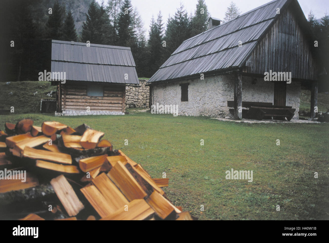Slovenia, Triglav national park, Trenta valley, edge the forest, hut ...
