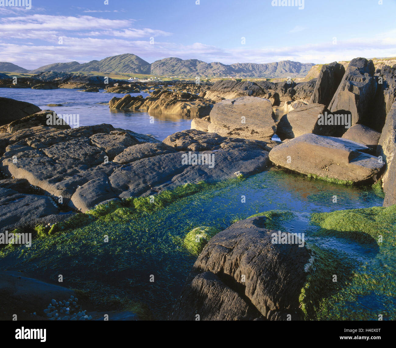 Ireland, peninsula Beara, coastal scenery, Europe, Northern, Europe ...