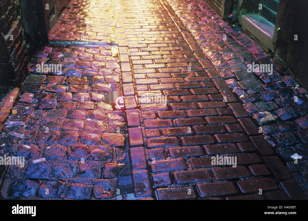 Cobblestones Wet Lighting Brightly Street Lane Page Lane Paving