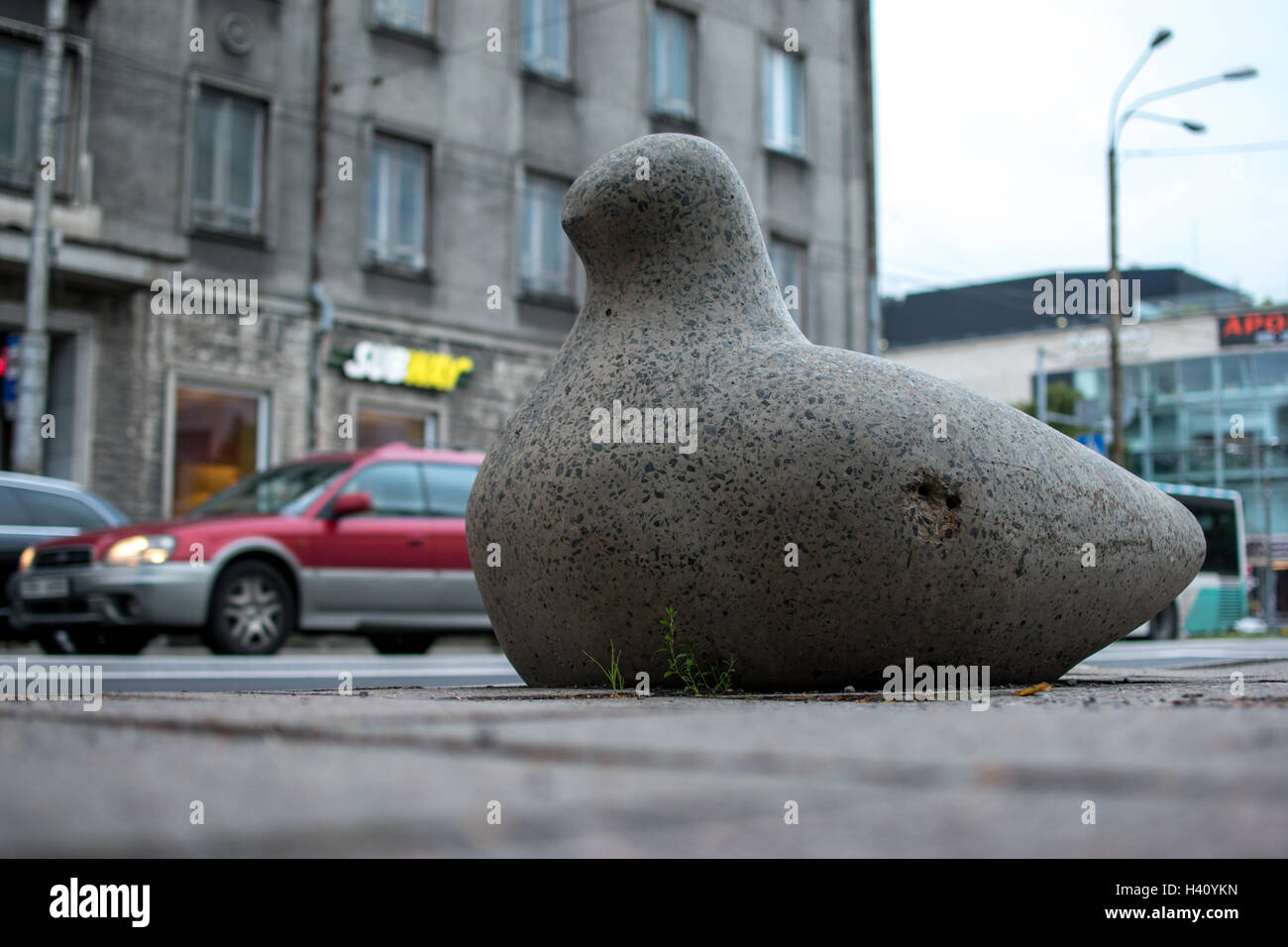 concrete/cement pigeon used as street barrier in the city of Tallinn ...
