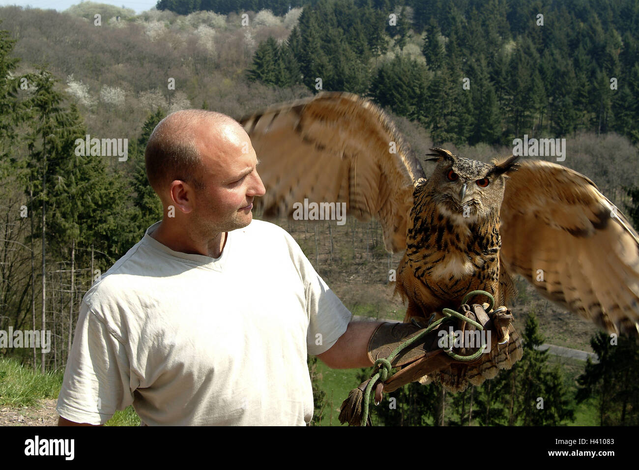 Falconers, arm, eagle owl, portrait, man, occupation, work, hobby ...