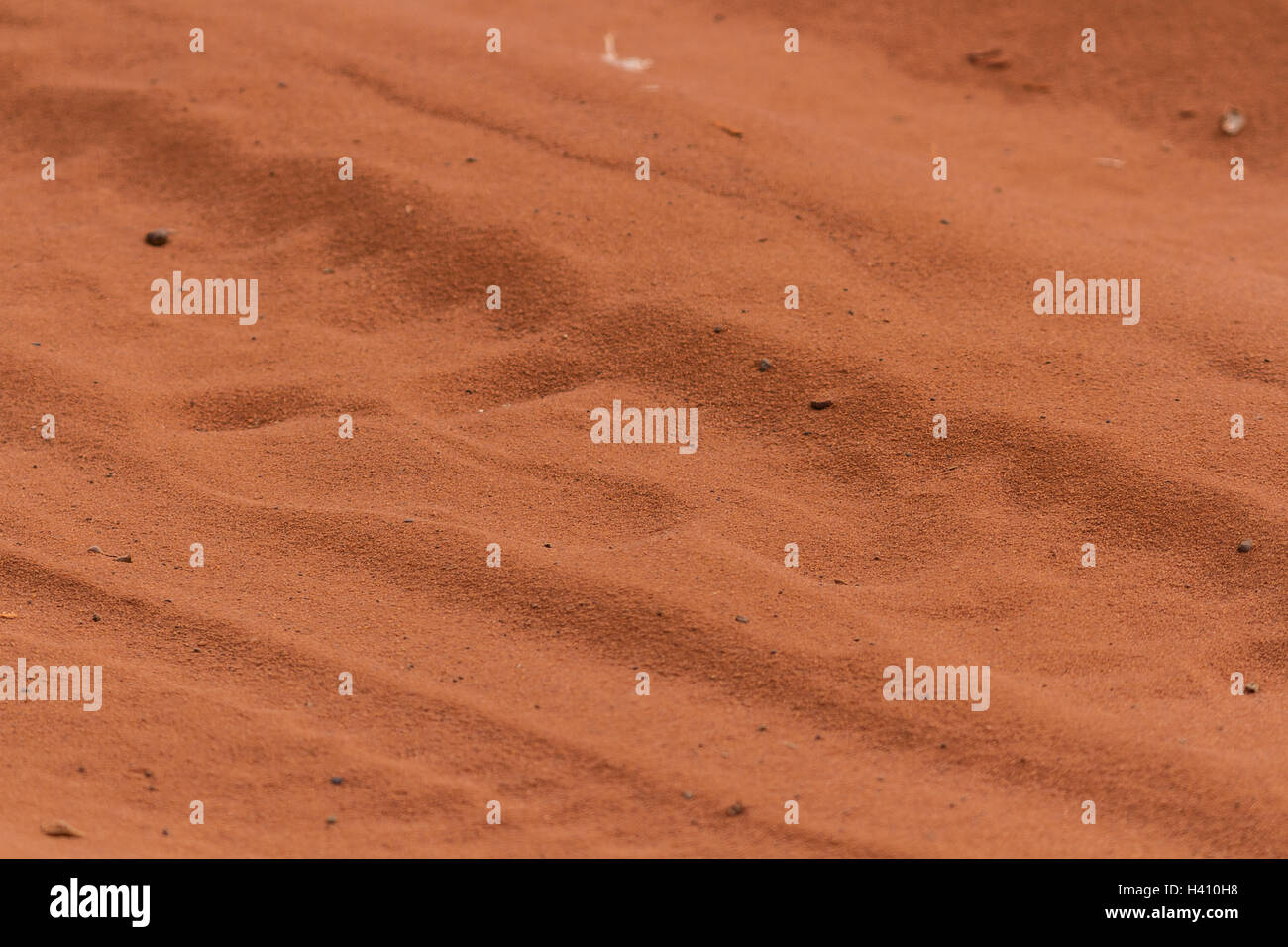 Background from red sand in the Savana Stock Photo - Alamy