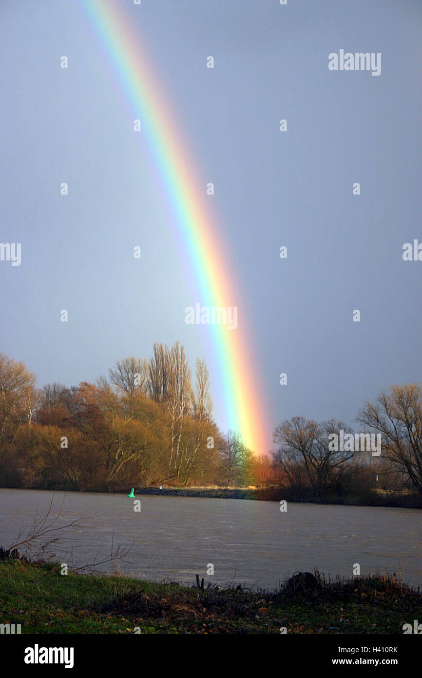 Riverside, wood, rainbow, detail, river, shore, plants, shrubs, bushes ...