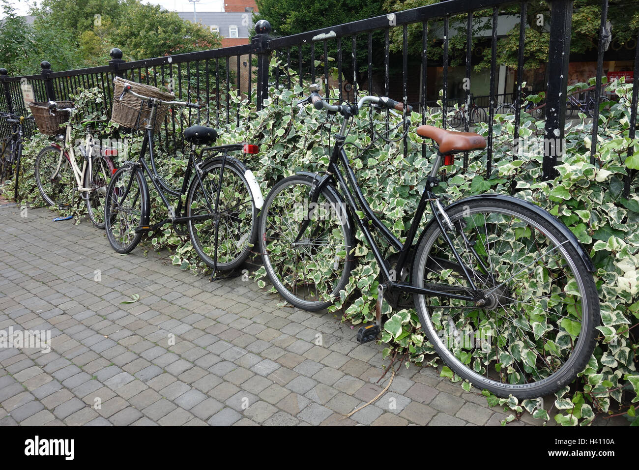 Bikes chained to railings Stock Photo - Alamy
