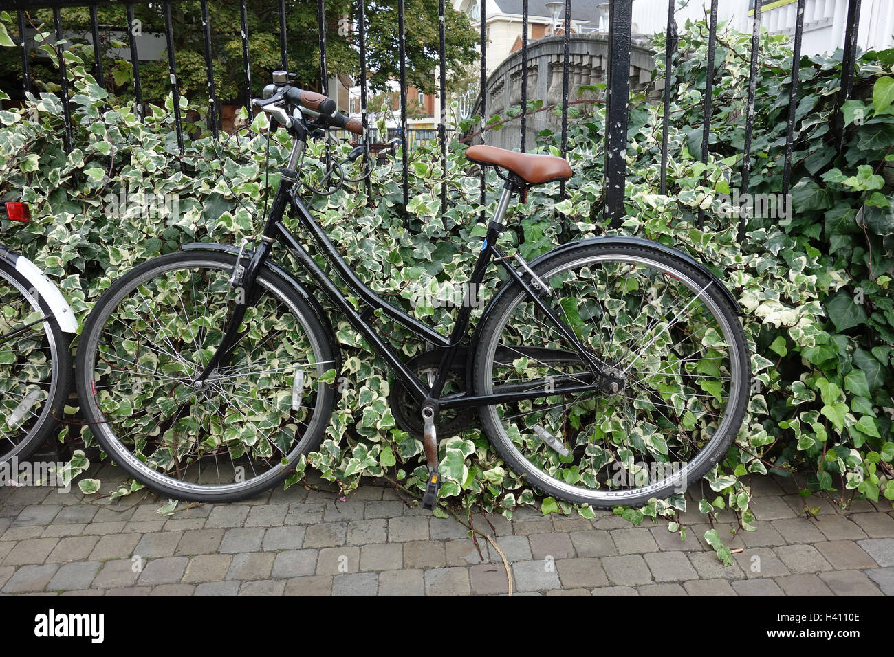 Bikes chained to railings Stock Photo - Alamy