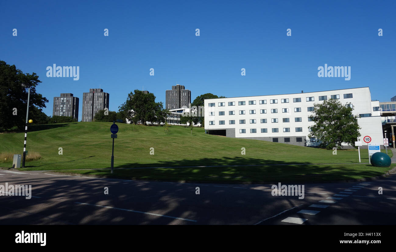 University of Essex from Boundary Road, Colchester Stock Photo - Alamy