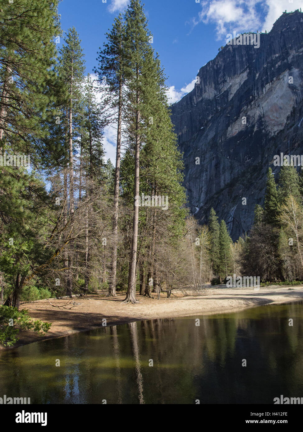 Glade in yosemite park hi-res stock photography and images - Alamy