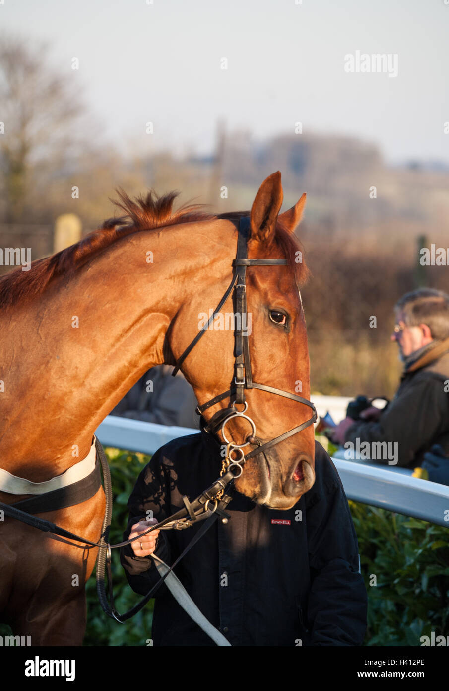 At Wincanton horse racing course,Somerset,England,U.K.,Europe Stock ...