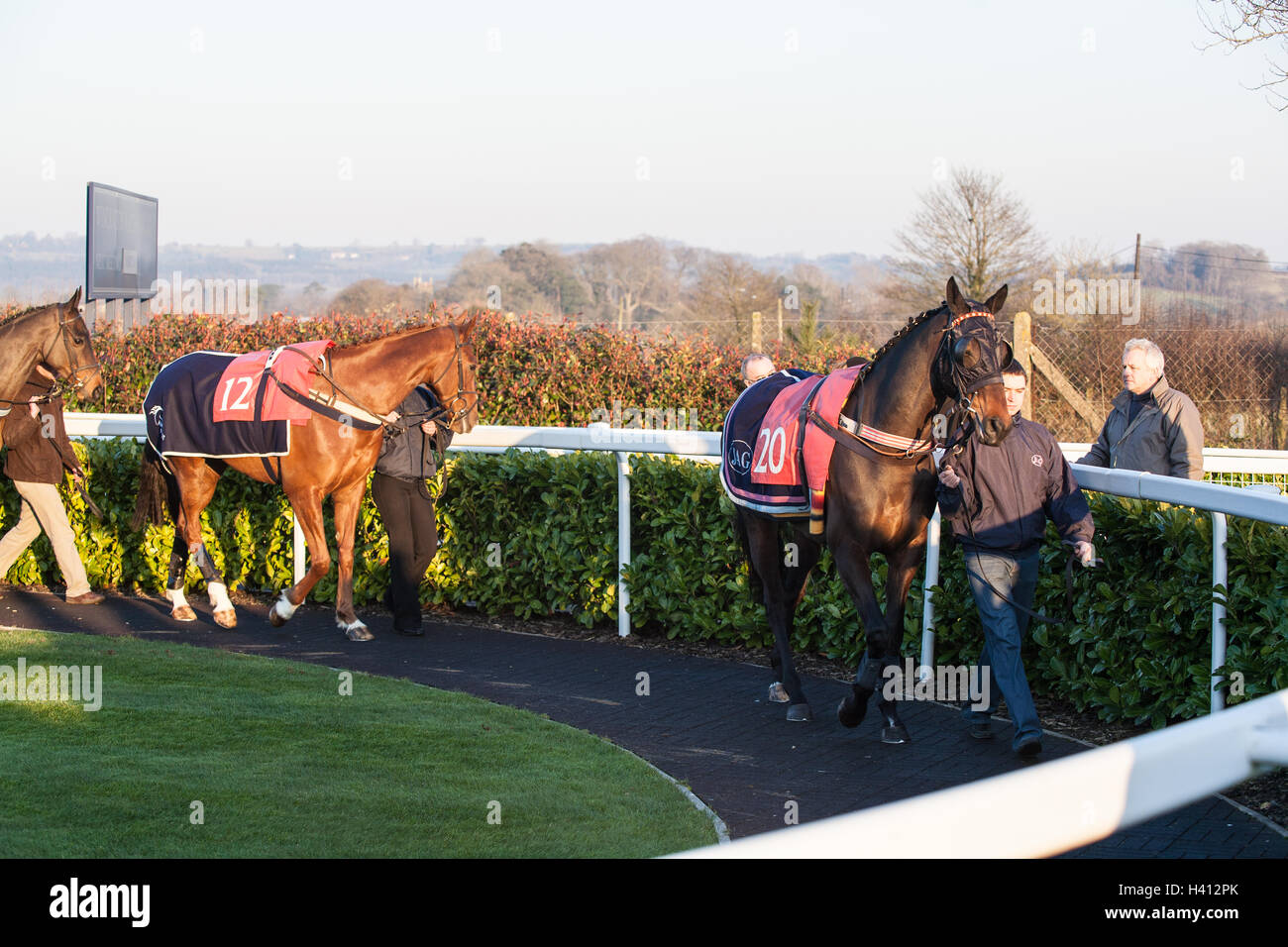 At Wincanton horse racing course,Somerset,England,U.K.,Europe Stock ...
