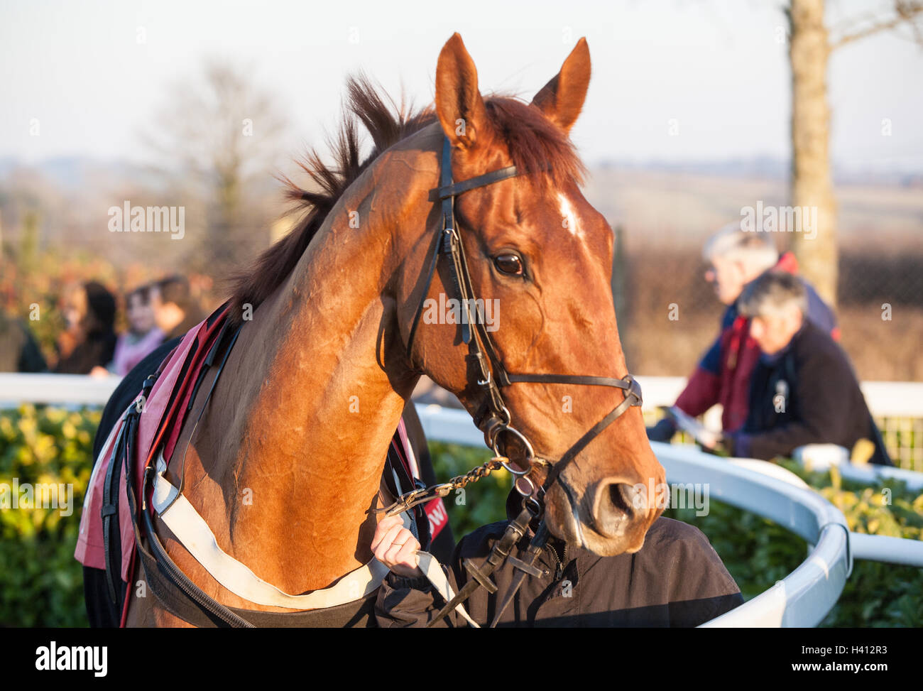 At Wincanton horse racing course,Somerset,England,U.K.,Europe Stock ...