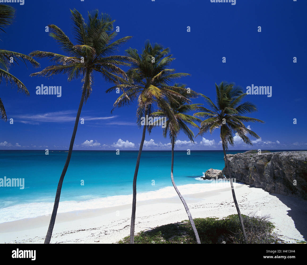 The small Antilles, Barbados, Bottom Bay, palm beach, bile coast ...