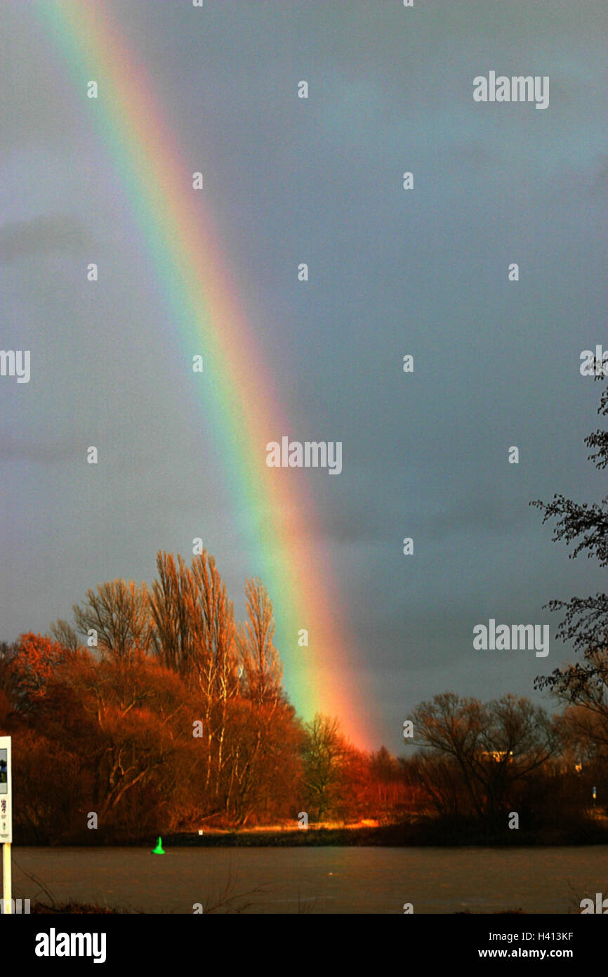 Riverside, wood, rainbow, detail, river, shore, plants, shrubs, bushes ...