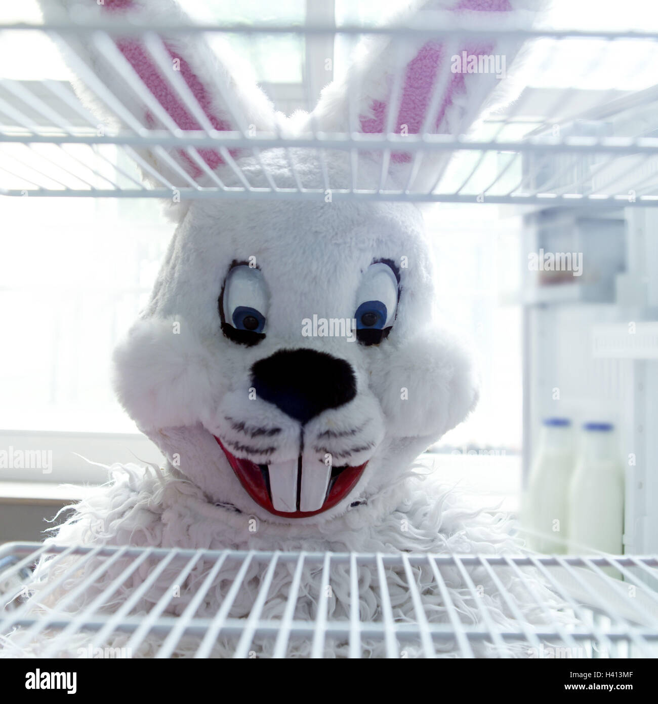 Empty refrigerator and child hi-res stock photography and images - Alamy