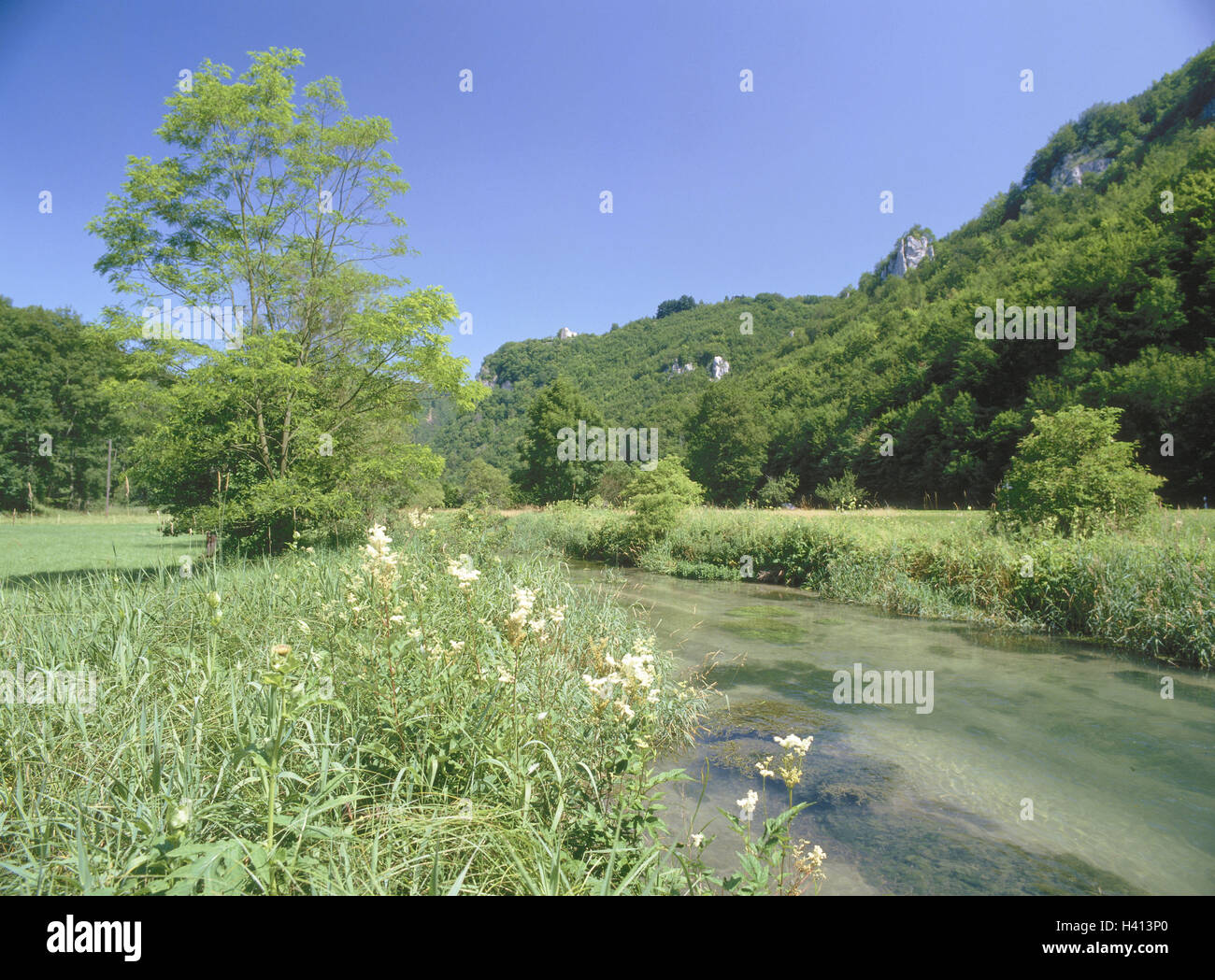 Erms background hi-res stock photography and images - Alamy
