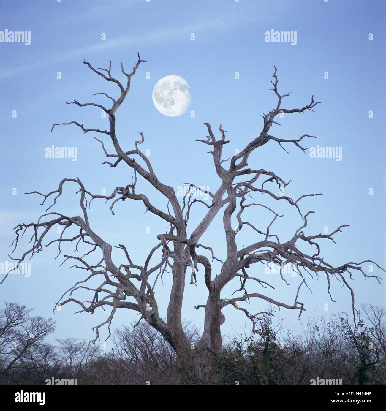 Perished hi-res stock photography and images - Alamy