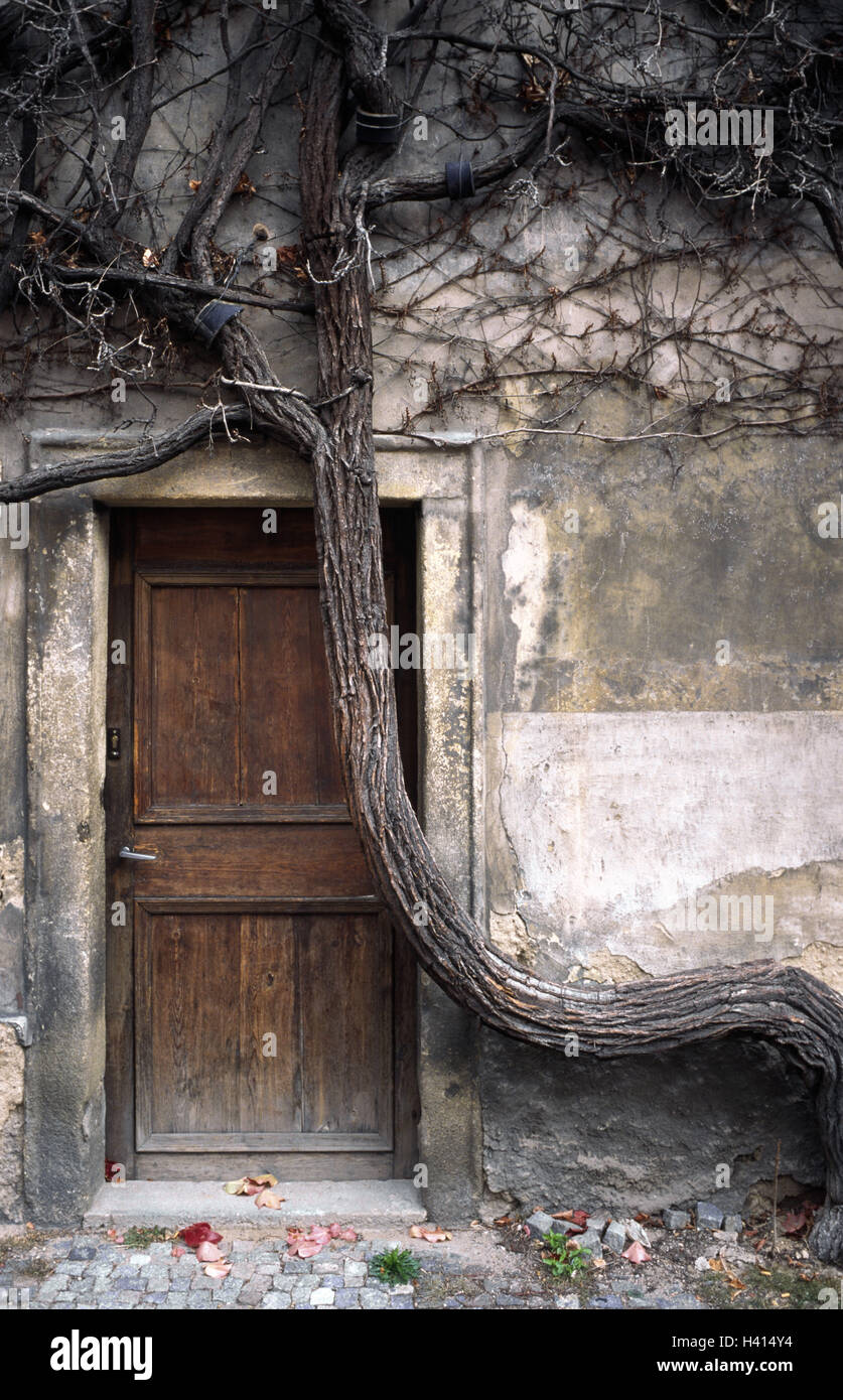 House facade, detail, entrance, tree, BT, house, facade, door, wood ...