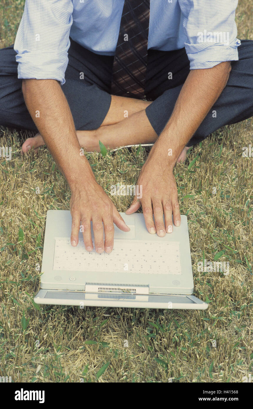 Meadow, businessman, barefoot, work, laptop, detail, occupation ...