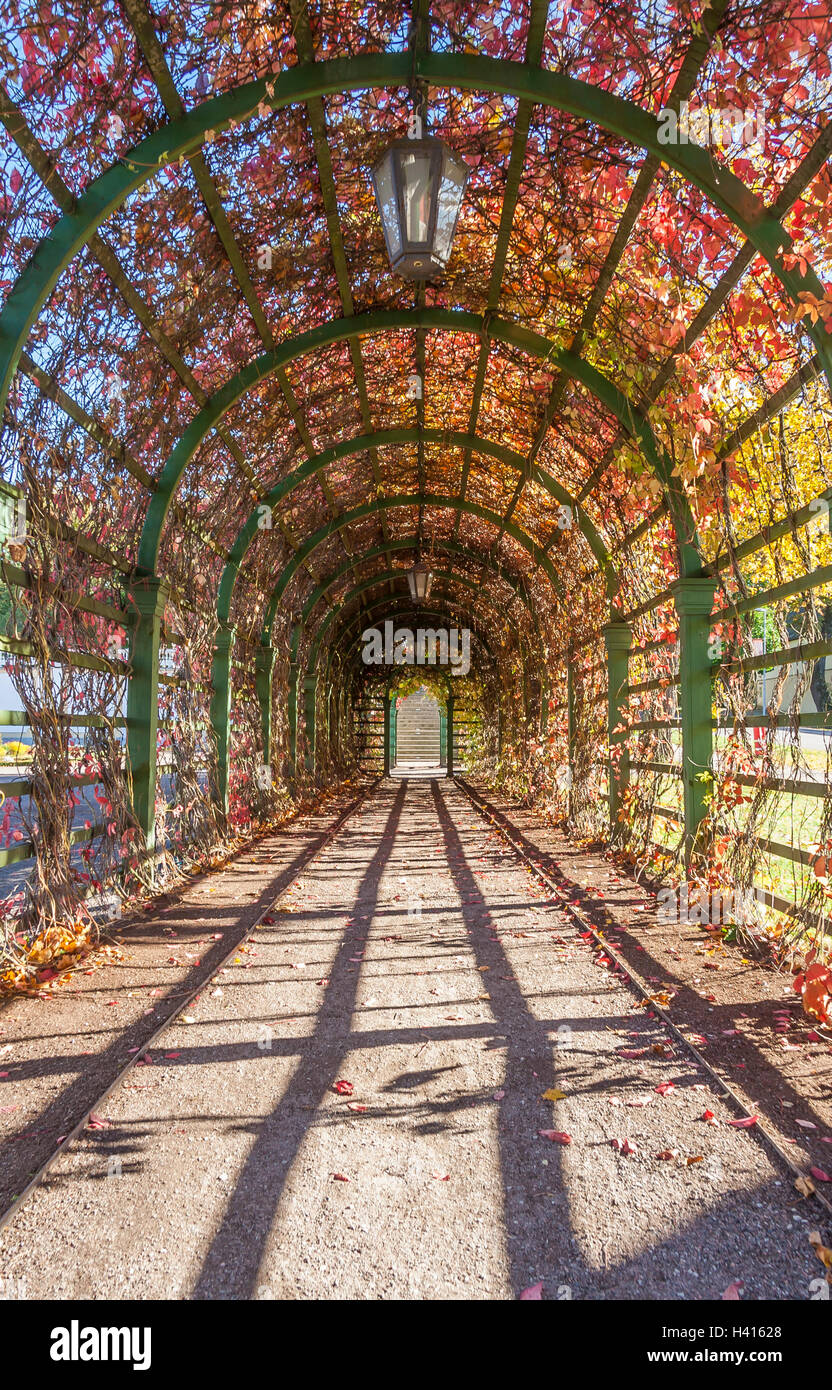Autumn Pergola In The City Park Stock Photo - Alamy