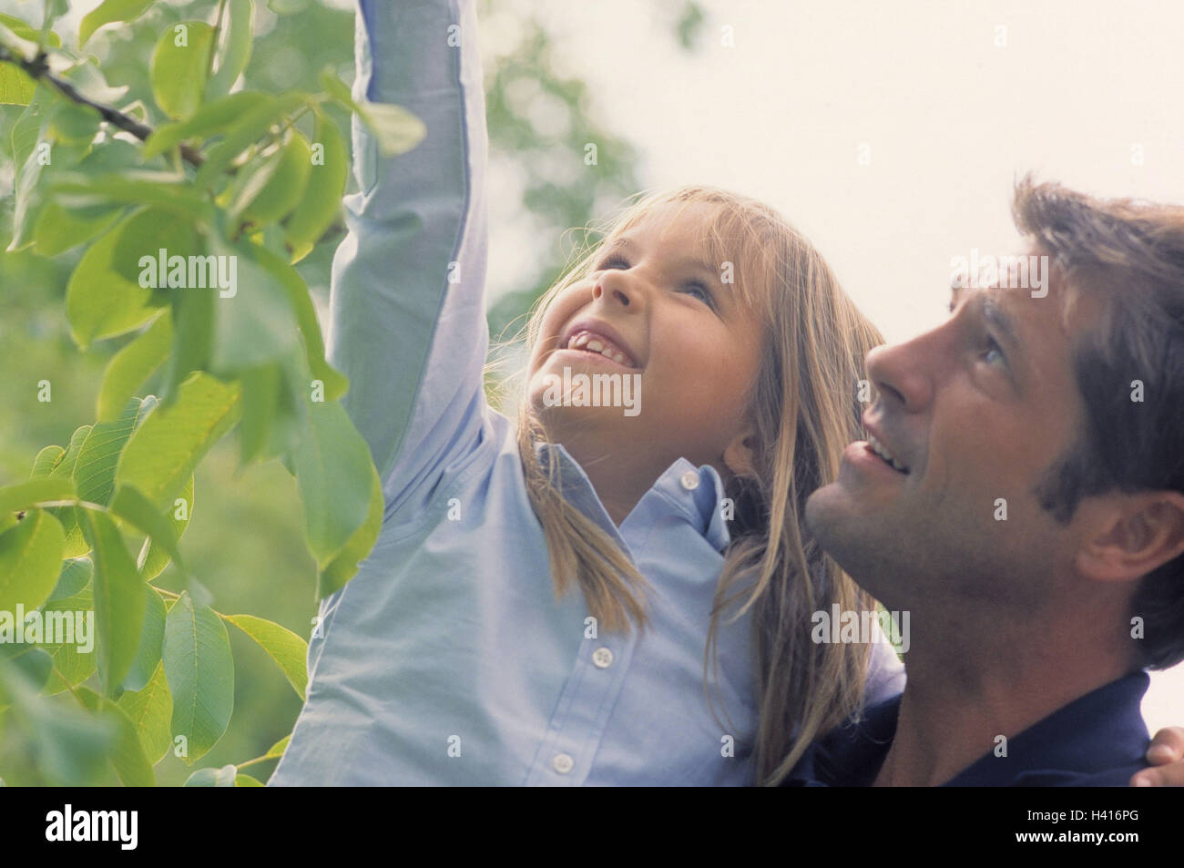 Father, subsidiary, carry, look, tree, portrait, summer, man, single ...