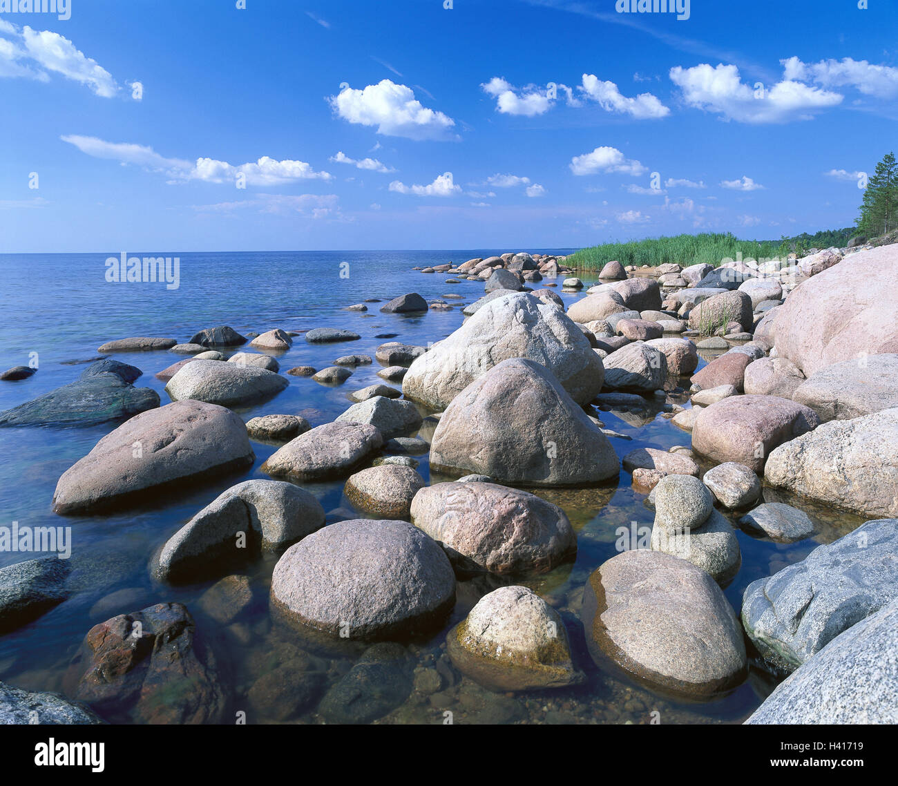 Latvia, close Vitrupe, Baltic coast, Europe, Nordosteuropa, the Baltic ...