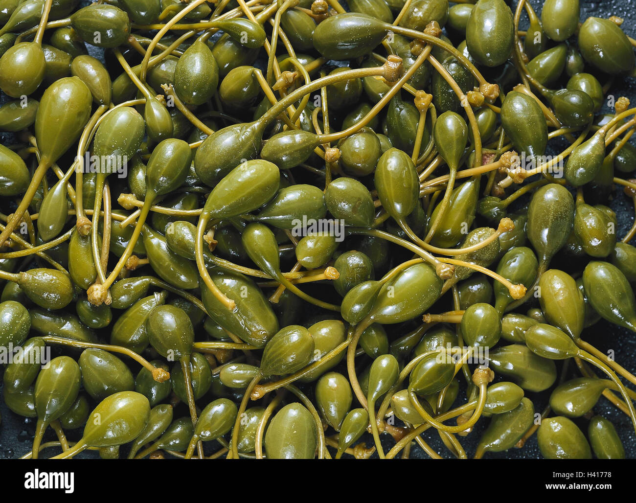 Capers, close up, Still life, Capparis spinosa, capers fruits, buds ...