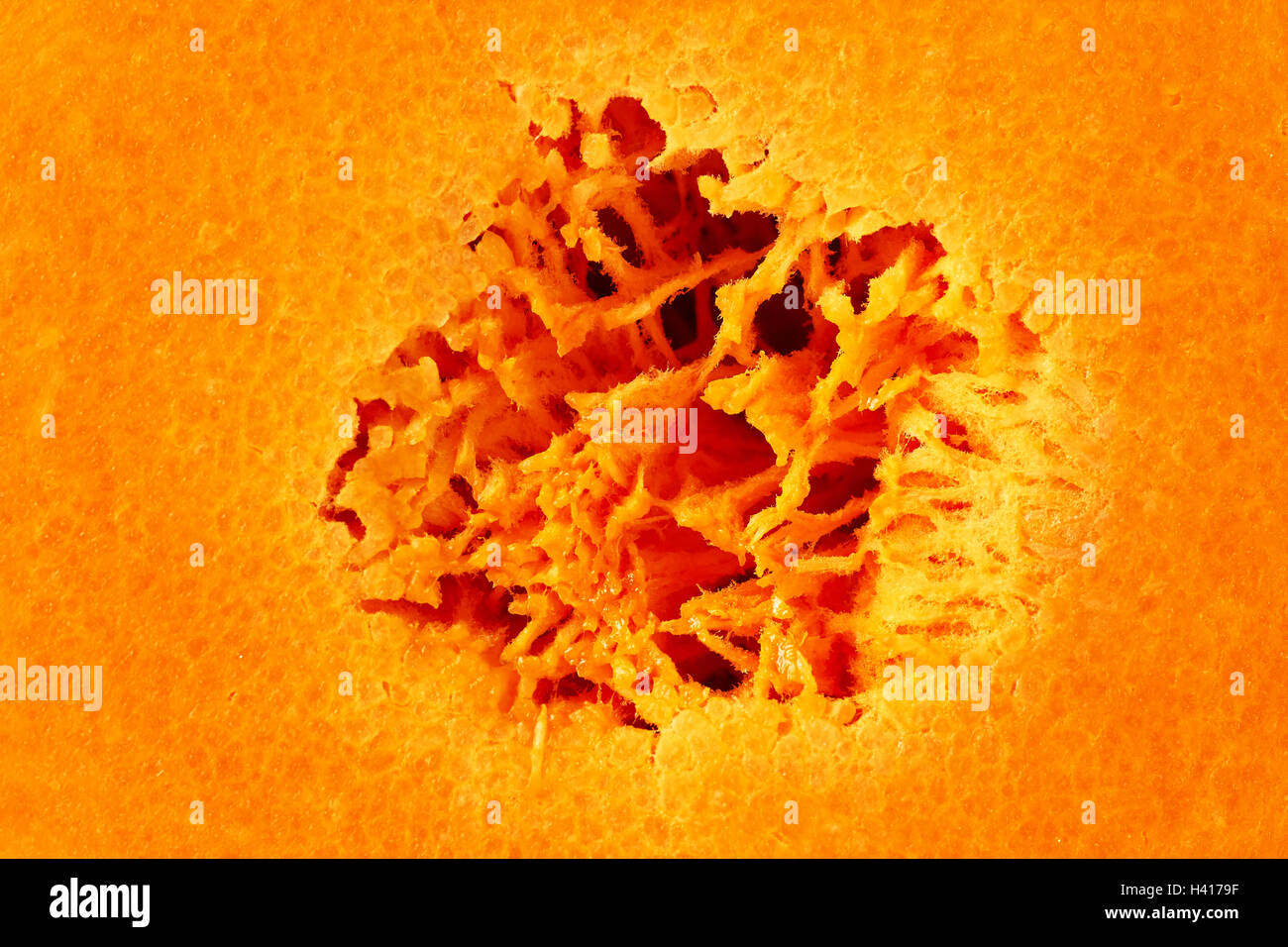 Inside pumpkin hi-res stock photography and images - Alamy