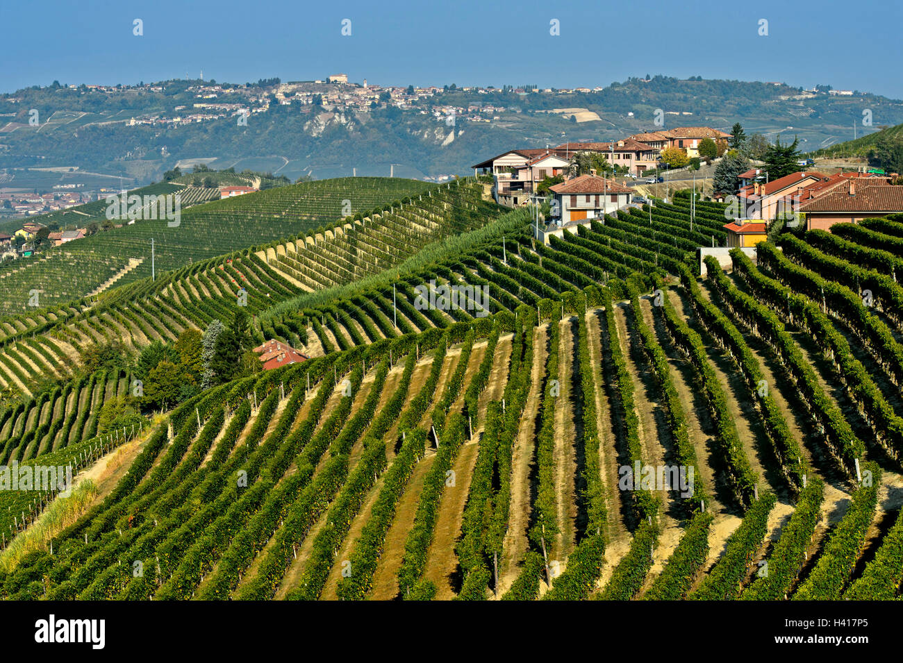 Piémont and nebbiolo hi-res stock photography and images - Alamy