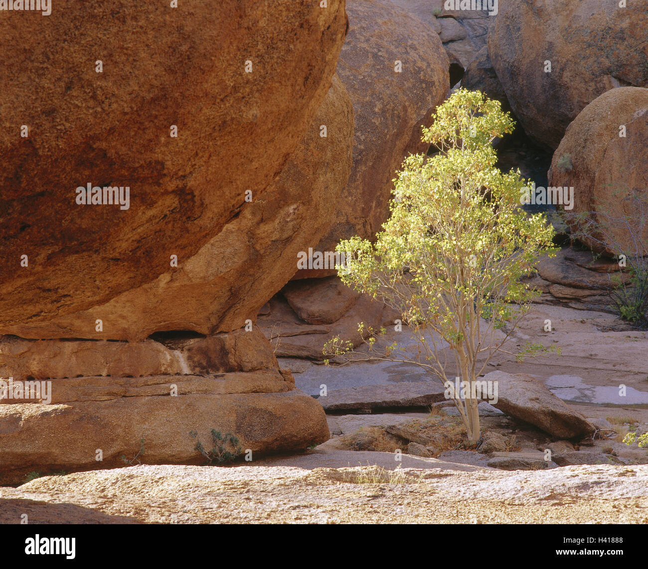 Namibia, Erongo mountains, farm Ameib, rocks, "Bull's party", broad ...
