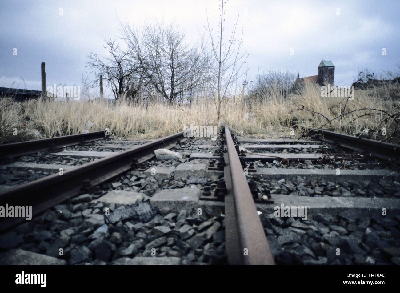 Scenery, section, disused, become overgrown, Ti7, tracks, rails ...