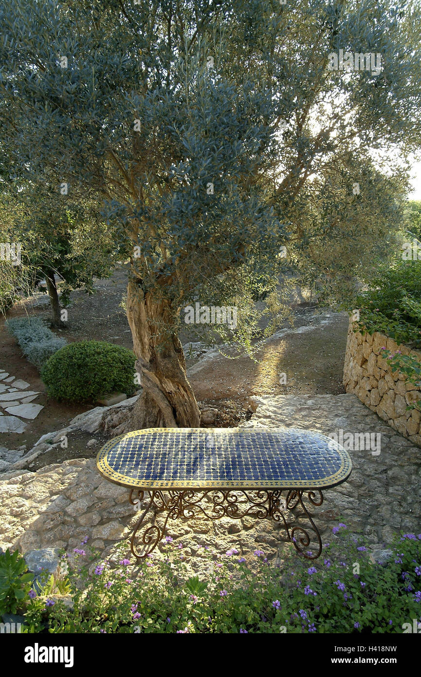Spain, Majorca, vacation house, Detail, garden, table, olive tree ...