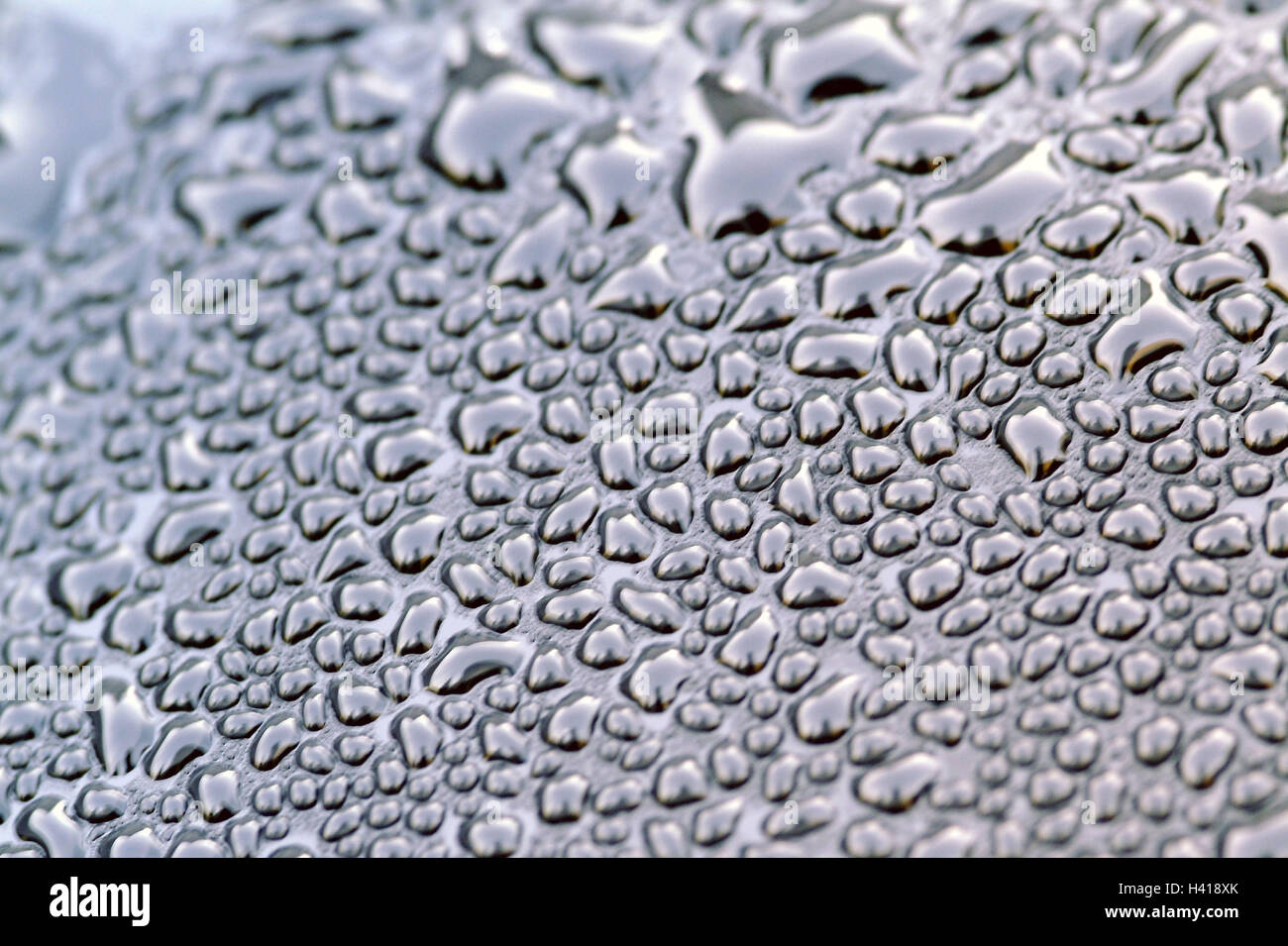 Water drops, underground, outside, wet, raindrops, rainy weather ...
