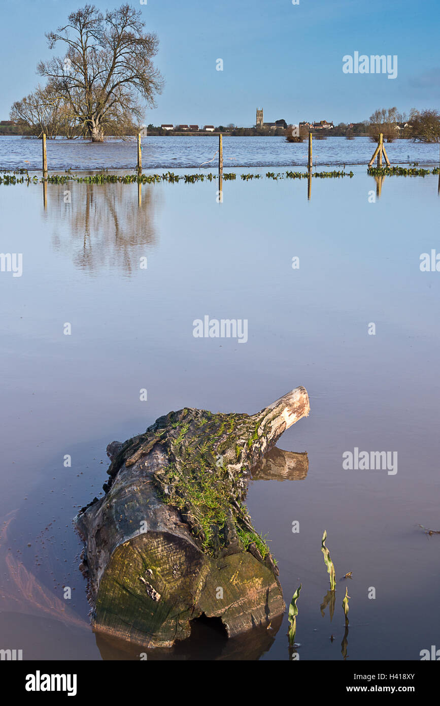 River tone flooding hi-res stock photography and images - Alamy