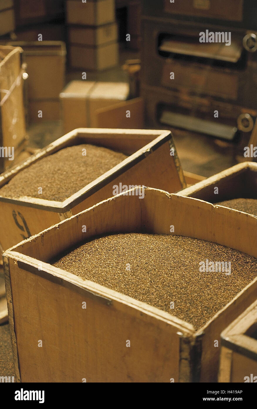 Sri Lanka, tea factory, wooden boxes, tea, bottled, Asia, South Asia ...