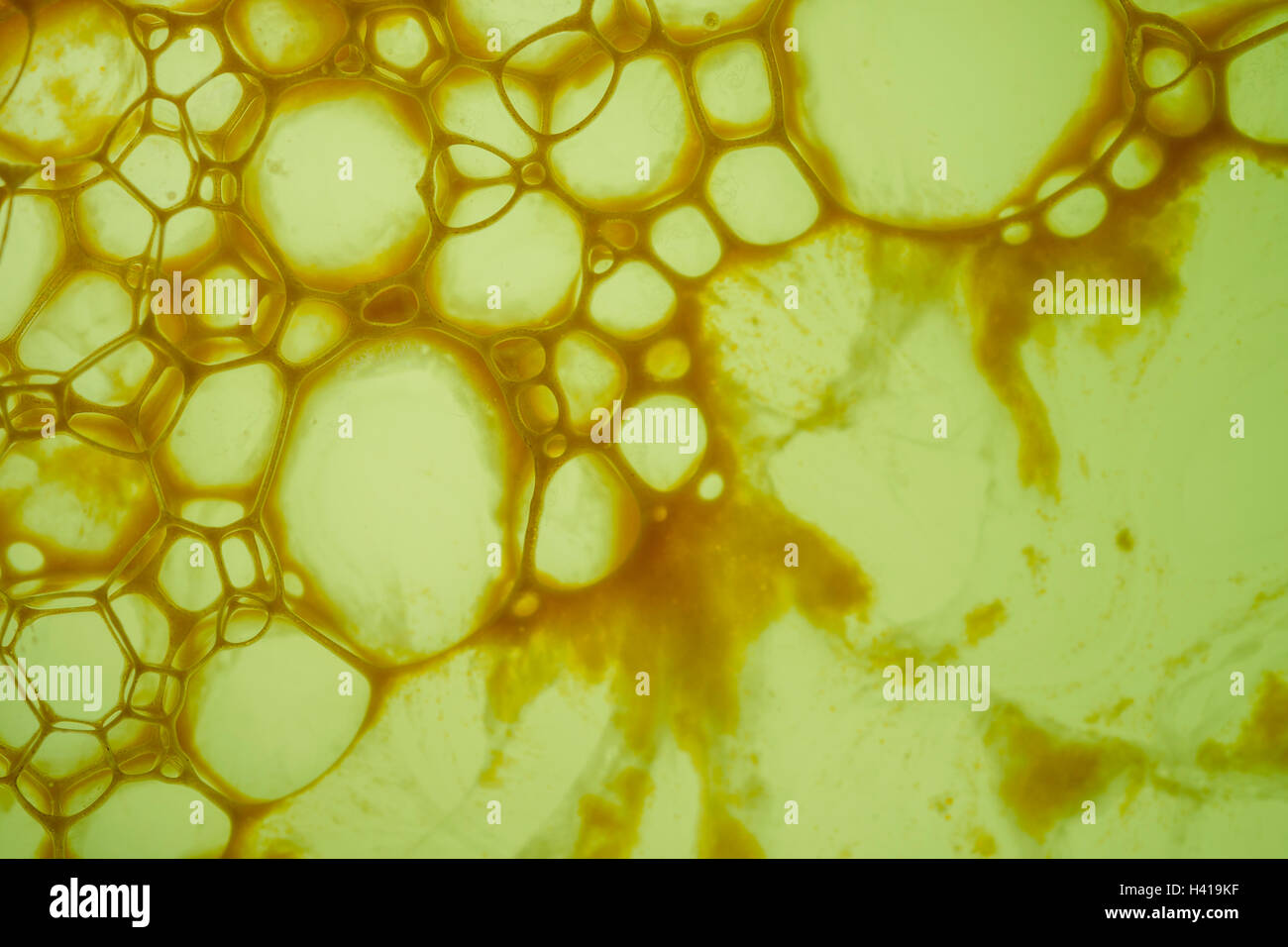 Fat globules hi-res stock photography and images - Alamy