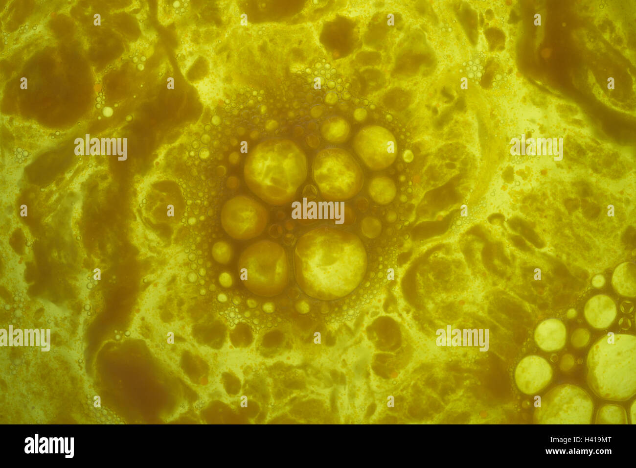 Fat globules hi-res stock photography and images - Alamy
