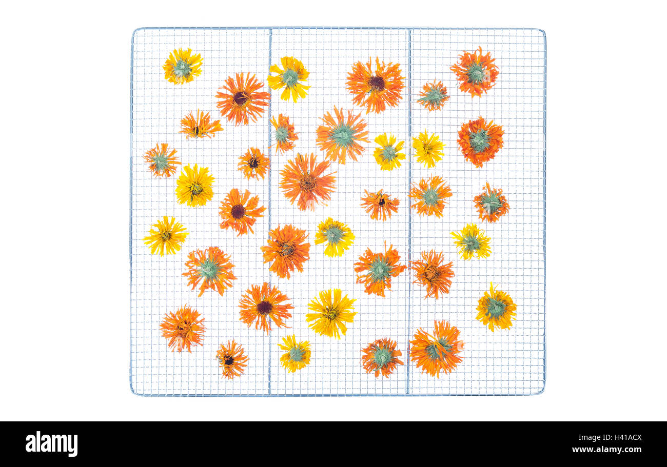 Marigold flower healthy tea Cut Out Stock Images & Pictures - Alamy