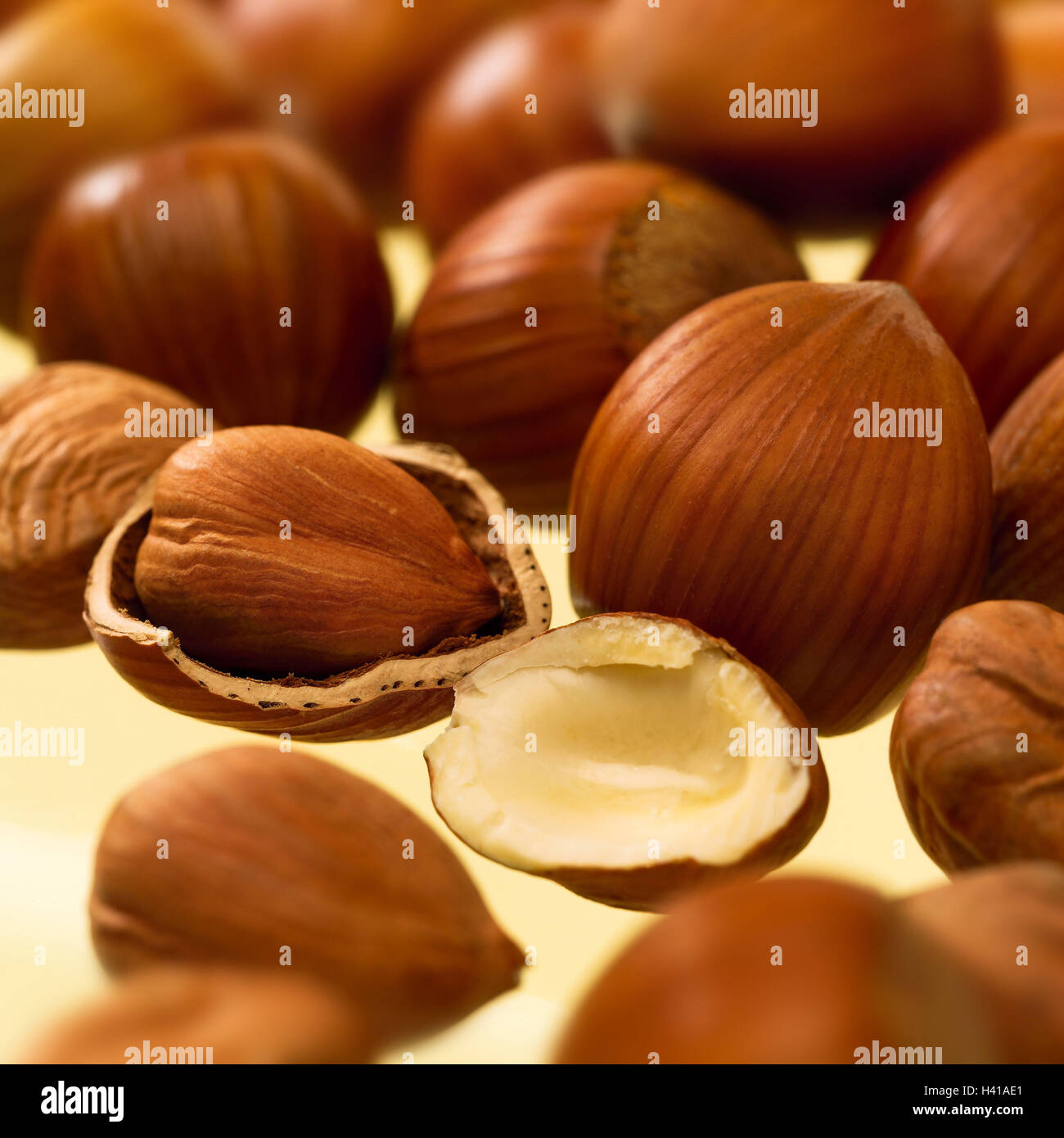 Hazelnuts, completely, opened, nuts, Corylus avellana, shrub fruits ...