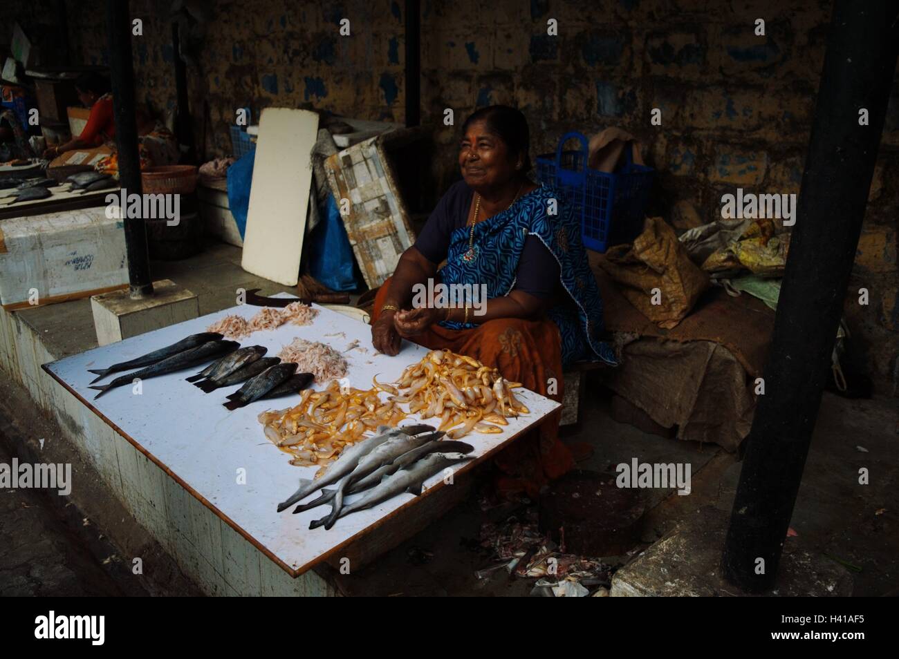 Indian fishmonger hi-res stock photography and images - Alamy