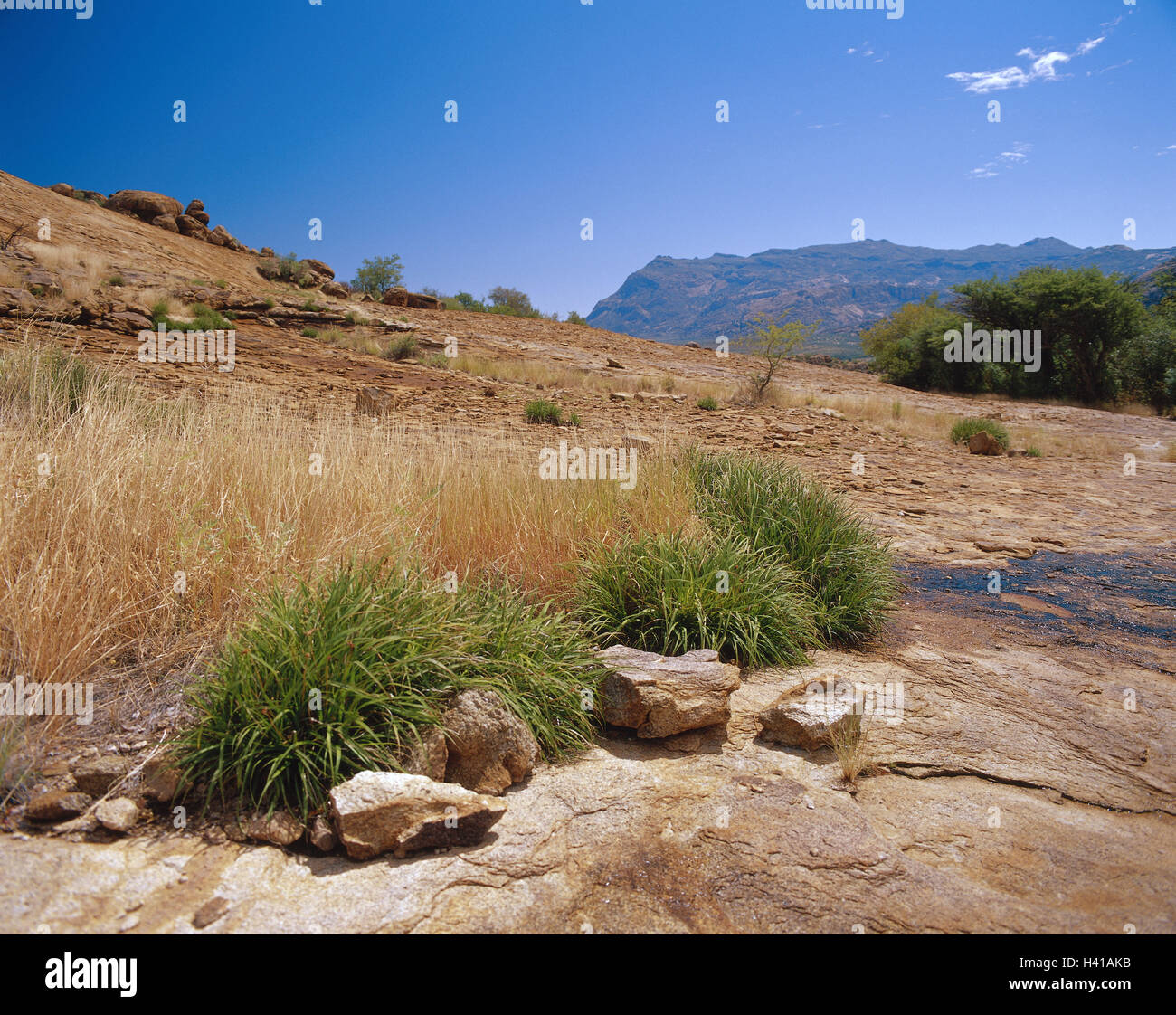 Namibia, Erongo mountains, farm Ameib, bile scenery, "Bull's party ...