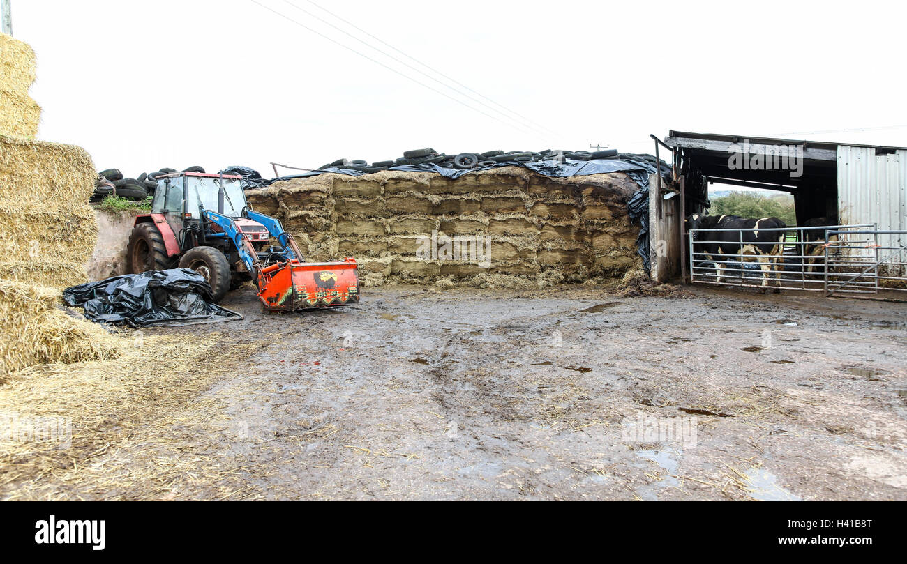 Shear grab hi-res stock photography and images - Alamy