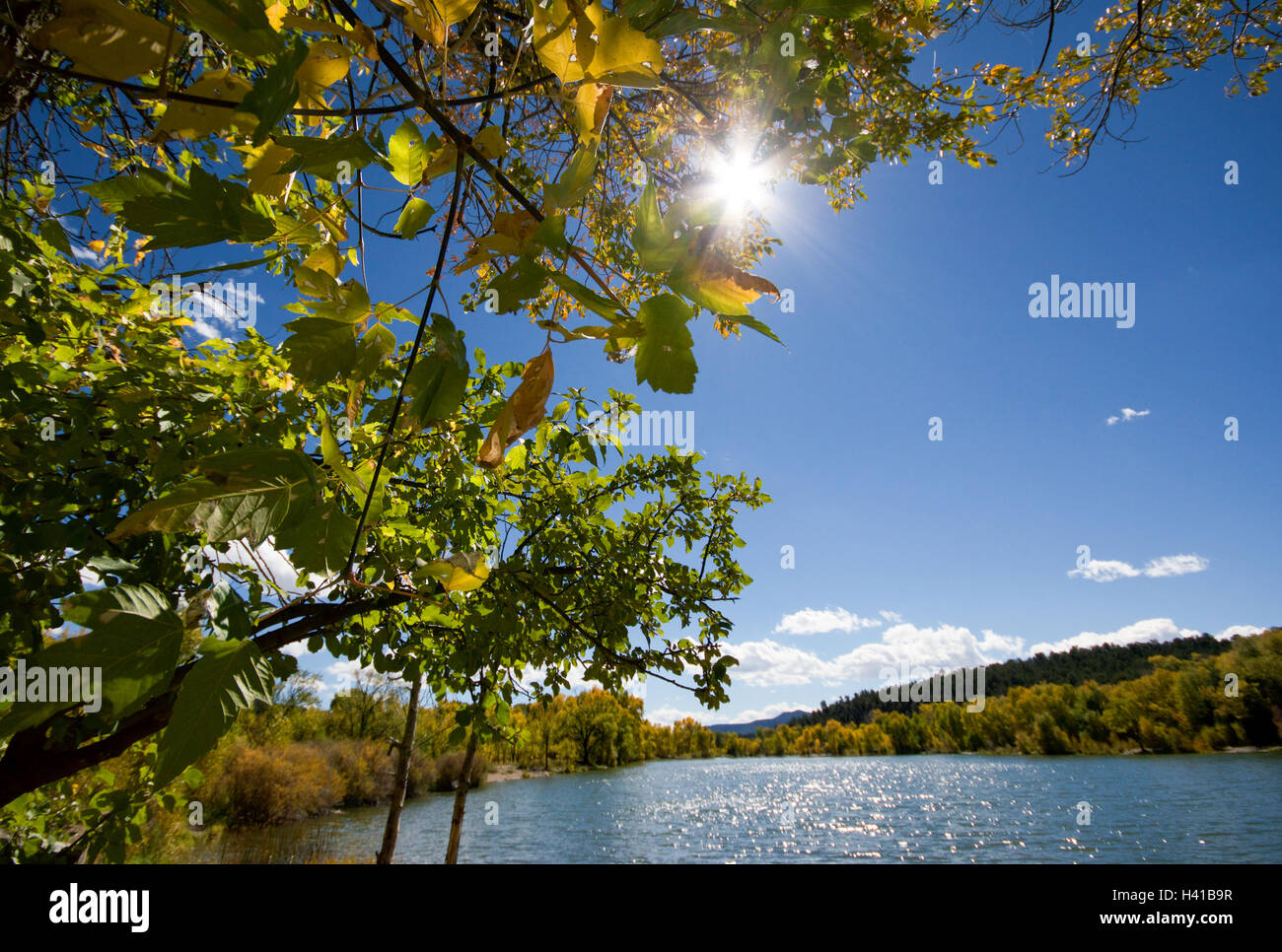 Yellow autumn leaves at Monastery Lake, Pecos, New Mexico, USA Stock ...