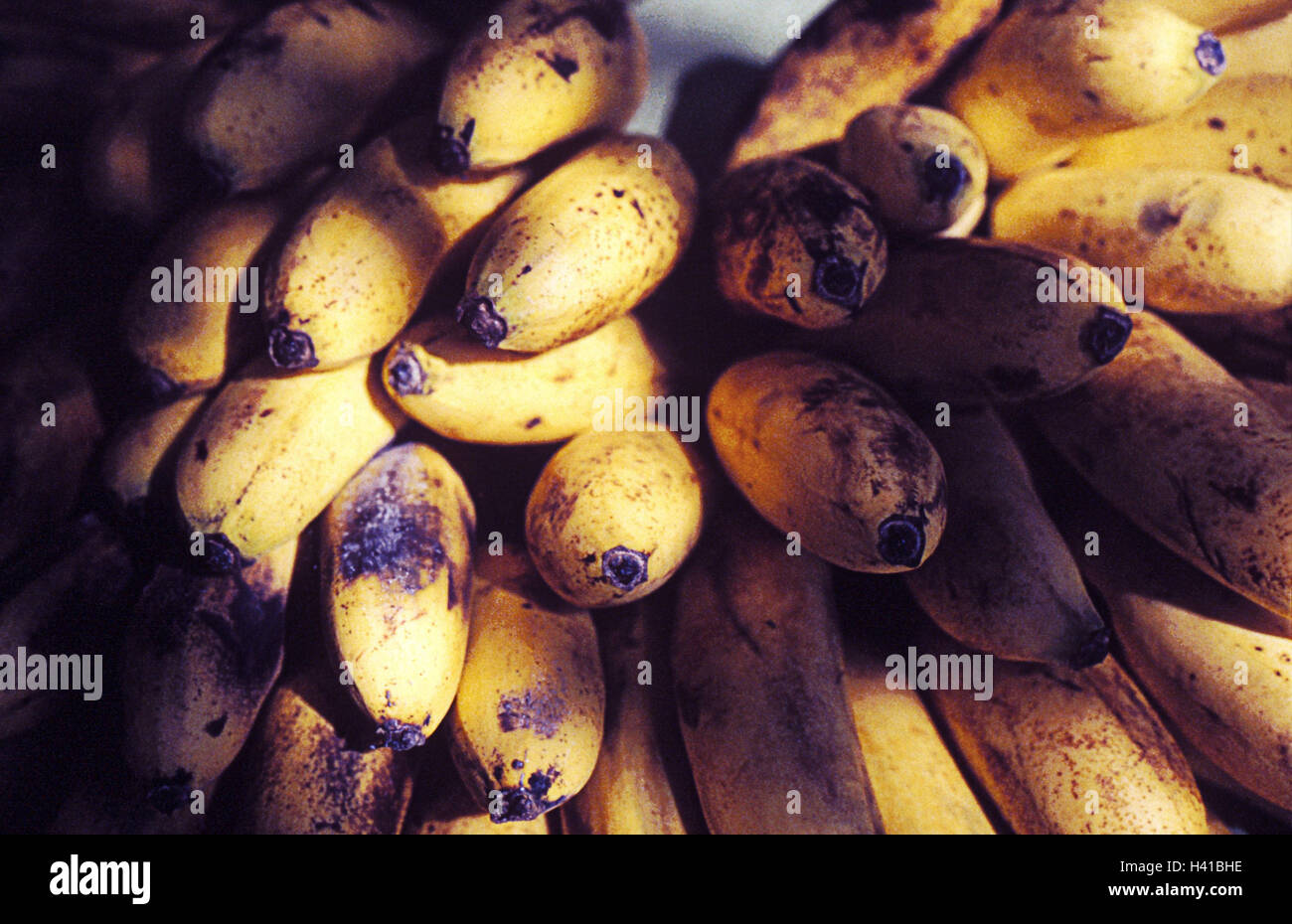 Bananas, close up, Still life, food, eat, fruit, fruits, tropical ...