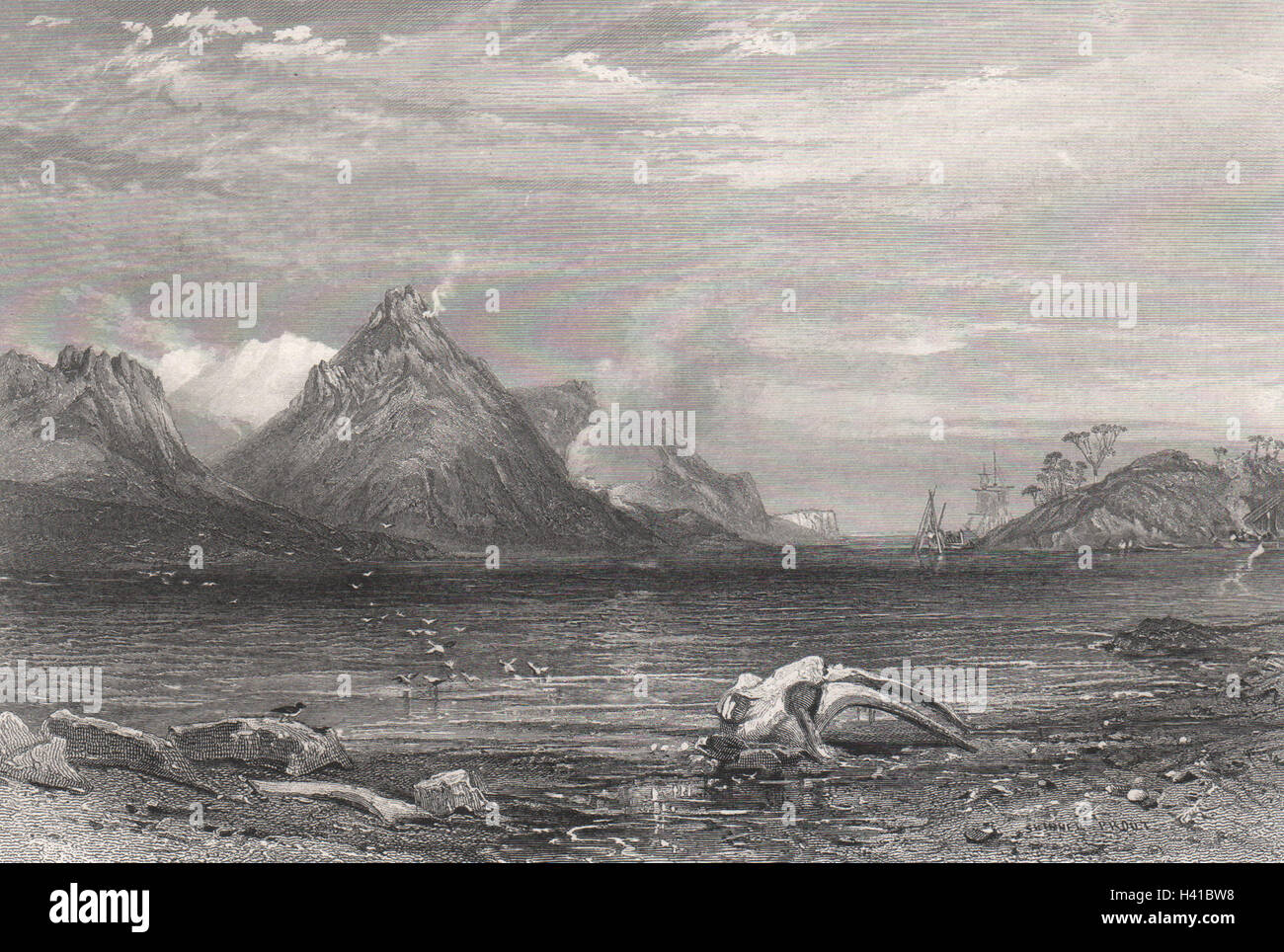 Whaling 19th century hi-res stock photography and images - Alamy