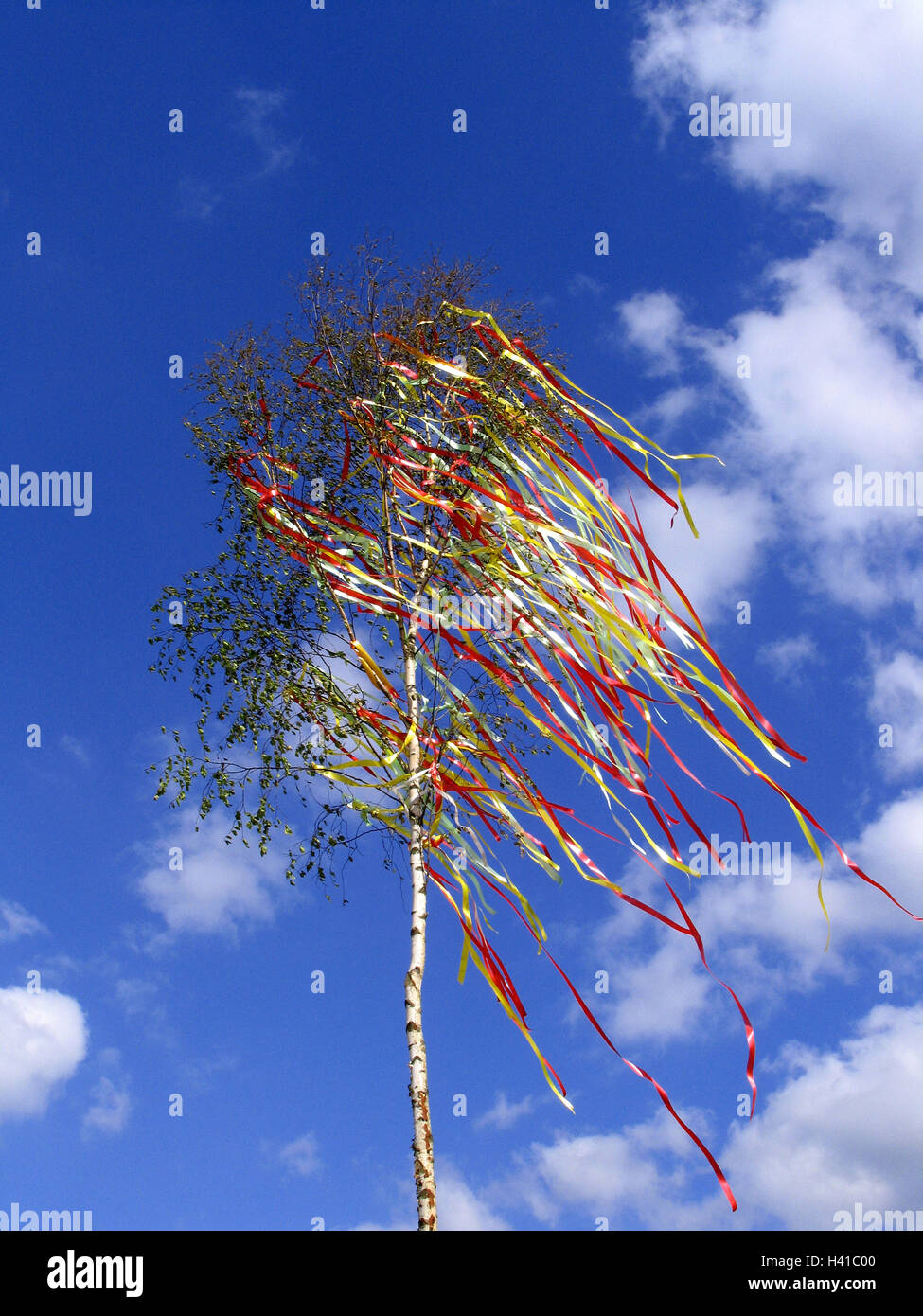 Birch, decorated, maypole, tree, tree jewellery, cords, brightly, wind ...