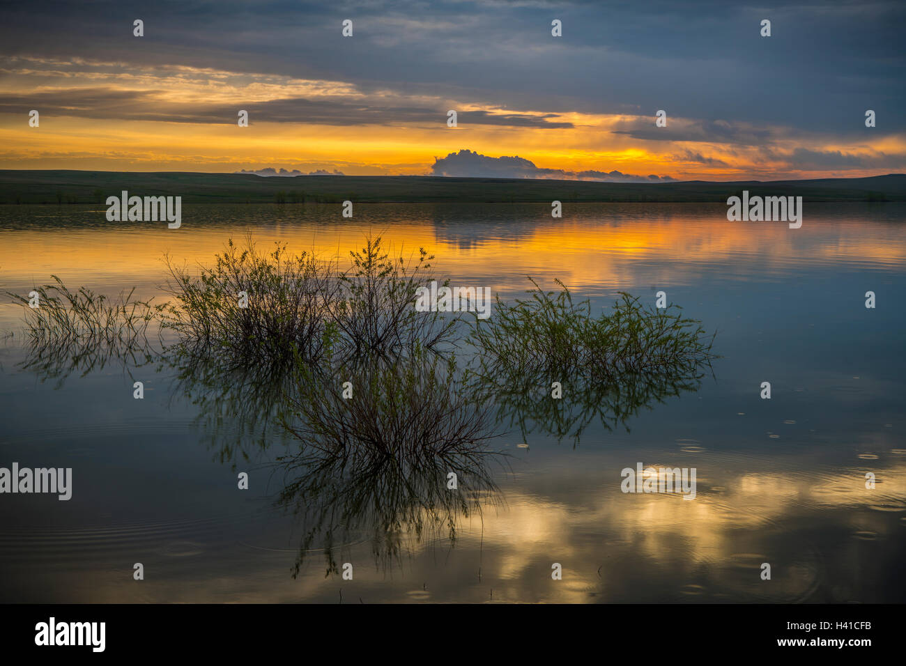 Belle fourche south dakota hi-res stock photography and images - Alamy