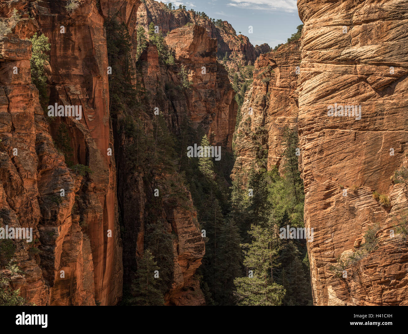 Red rocks of Zion National Park Stock Photo - Alamy